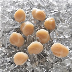 SCALLOPS ROE OFF 20/30 1KG - Scallop / Mussels - V and C - V AND C FOODS